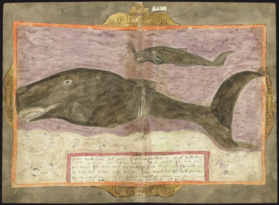 Moby Dick – punktnemo